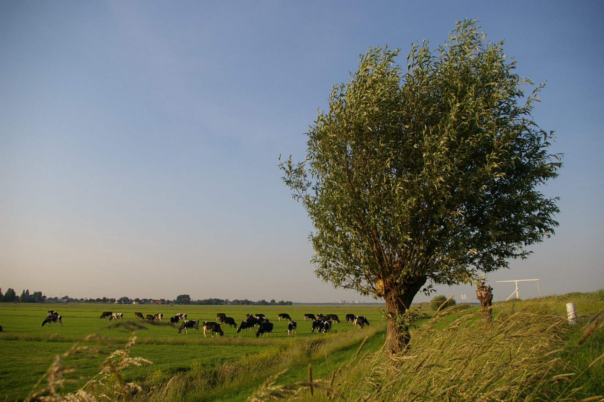 Een ‘Rondje Hoep’ - ONH