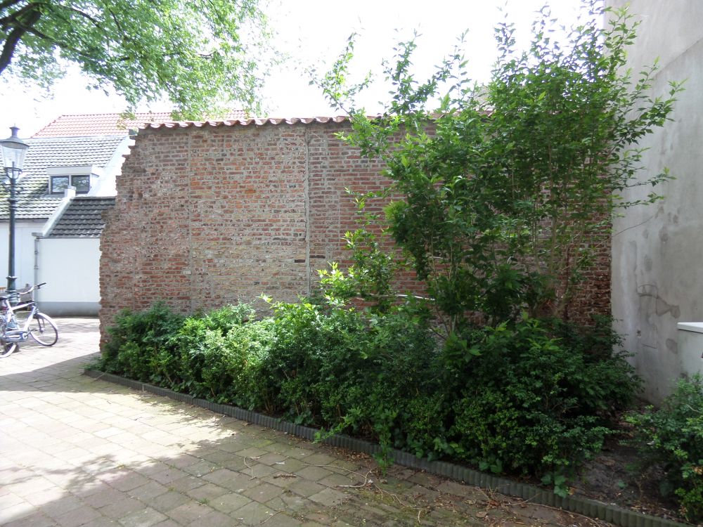 Modern en devoot: jonge vrouwen in een middeleeuws klooster - ONH