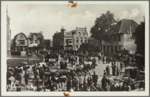 Dikbillen in Schagen - ONH