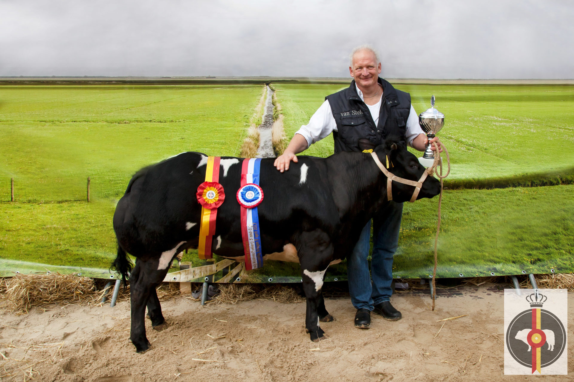 Dikbillen in Schagen - ONH