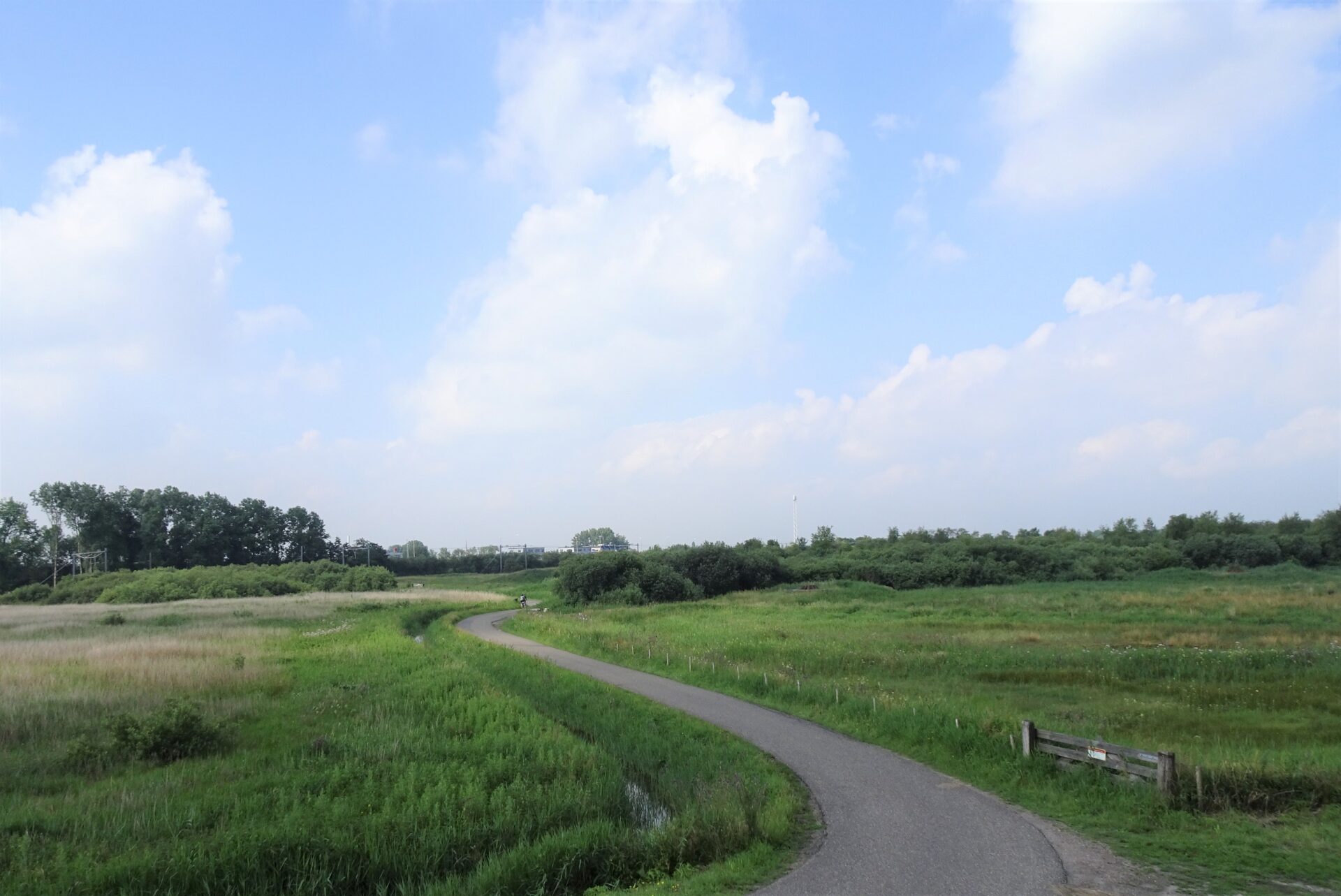 Ommetje Halfweg: storm, stoom, schuiten en suikerbieten - ONH