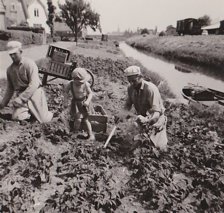De Opperdoezer Ronde, het verhaal van een diepogige knol - ONH