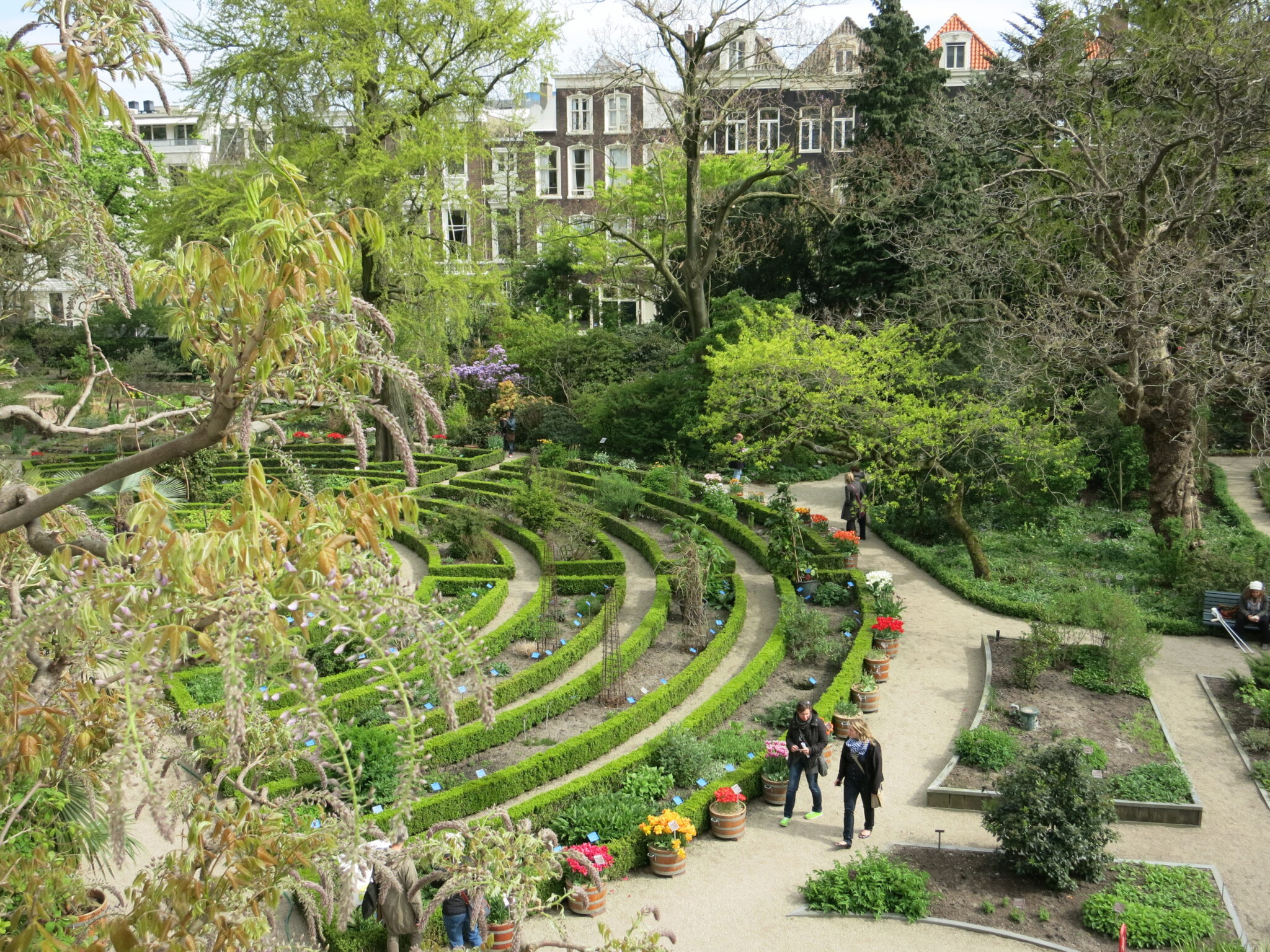 Hortus Botanicus heeft jouw hulp nodig - ONH