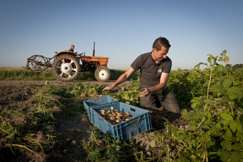 Noord-Hollandse dialecten luisteren - ONH