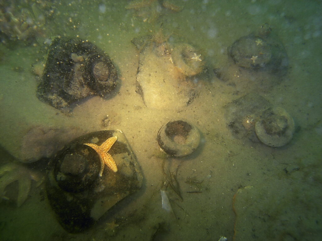 Koloniaal scheepswrak bevat zoveel meer dan scherven - ONH.nl