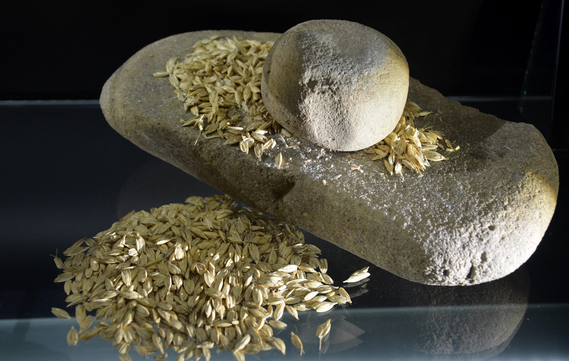 Steentijd: de eerste boeren in Noord-Holland - ONH