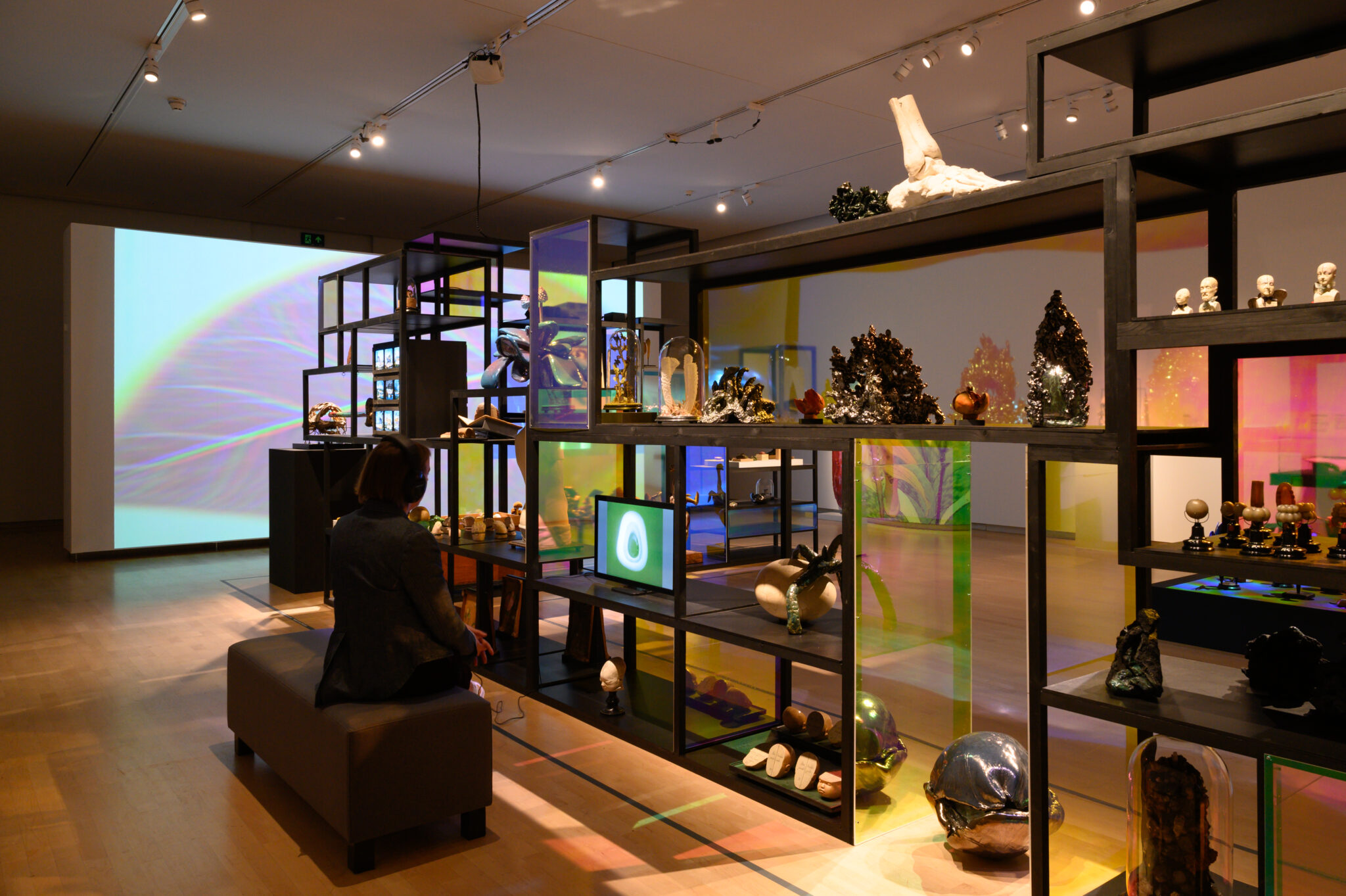 Teylers Museum toont eigentijdse wonderkamer van studiemodellen - ONH