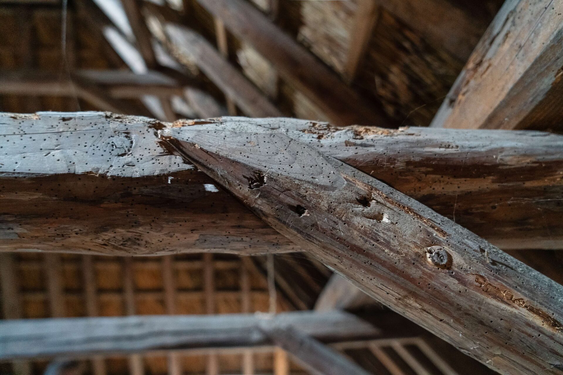 Binnenkijker: stolpboerderij Rozenburg - ONH