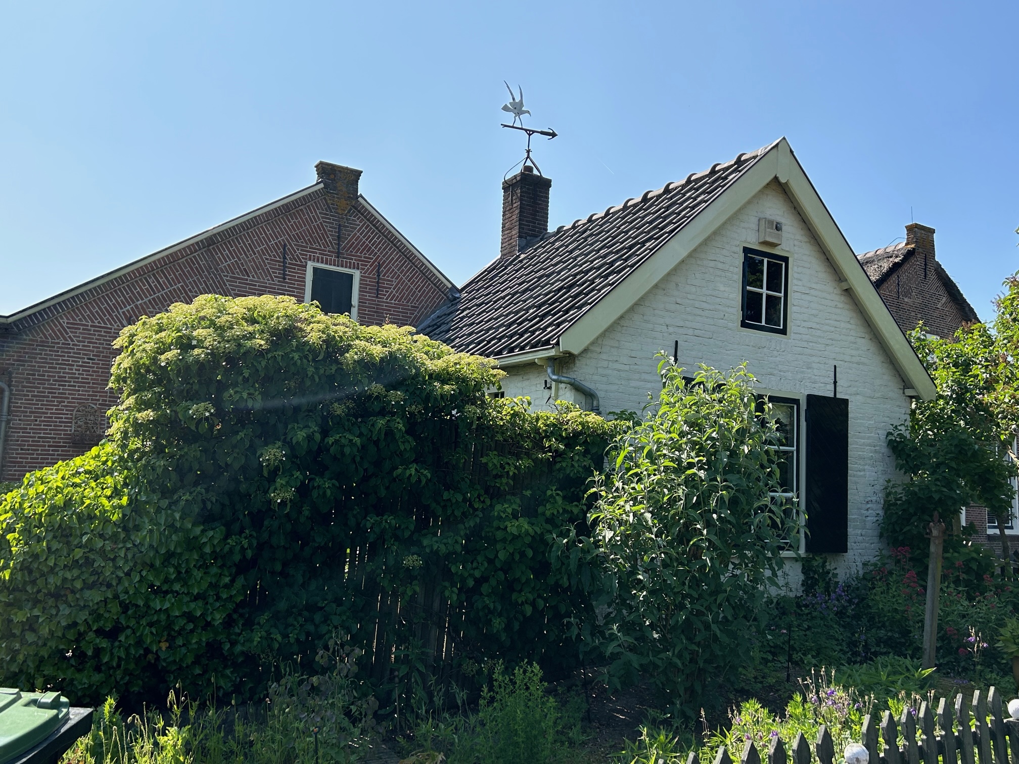 Zomerse wandeling door het Oude Dorp van Huizen - ONH