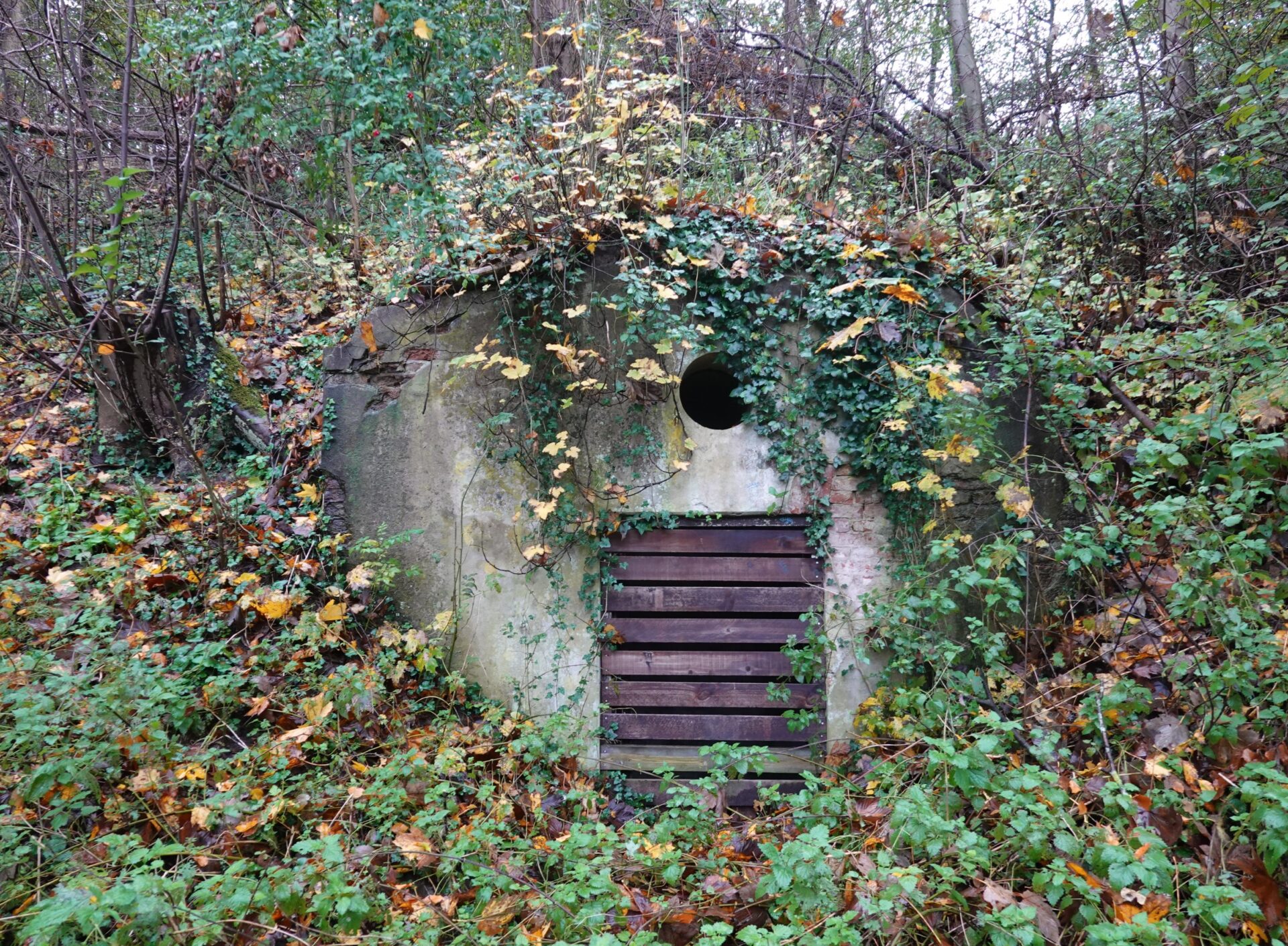 De historische koelkast: ijskelders in Noord-Holland - ONH