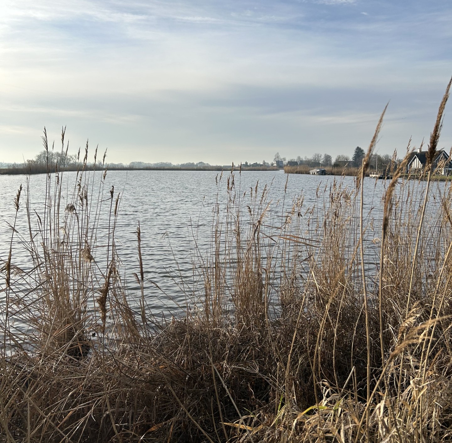 Dwalen langs de Amstel - ONH