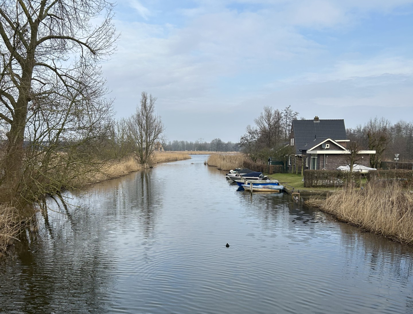 Dwalen tussen Amstel en Gaasp - ONH
